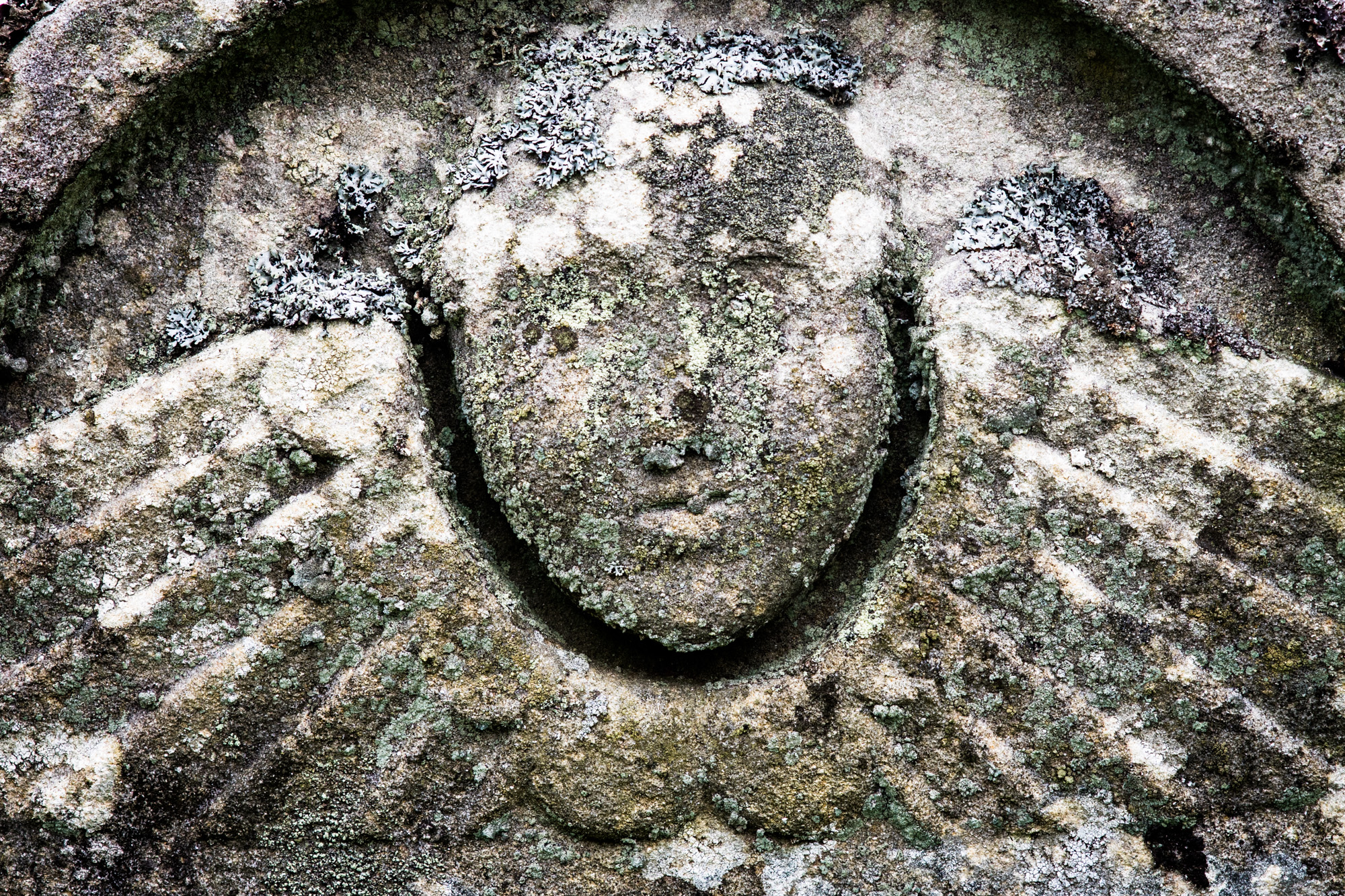 Elsdon-angels-23 | Michael Shanks ~ archaeologist