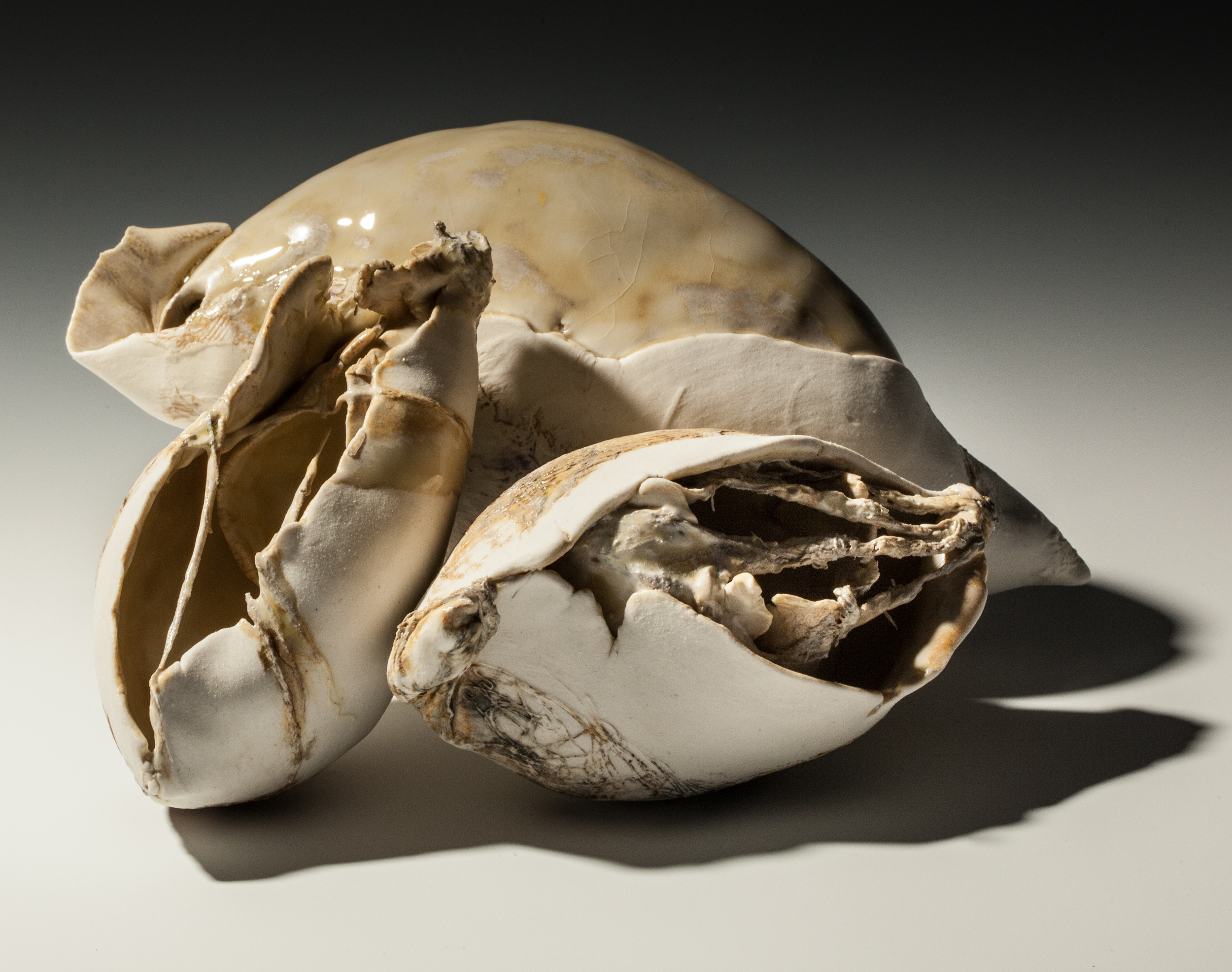 Helen-Shanks-porcelain-116 | Michael Shanks ~ archaeologist