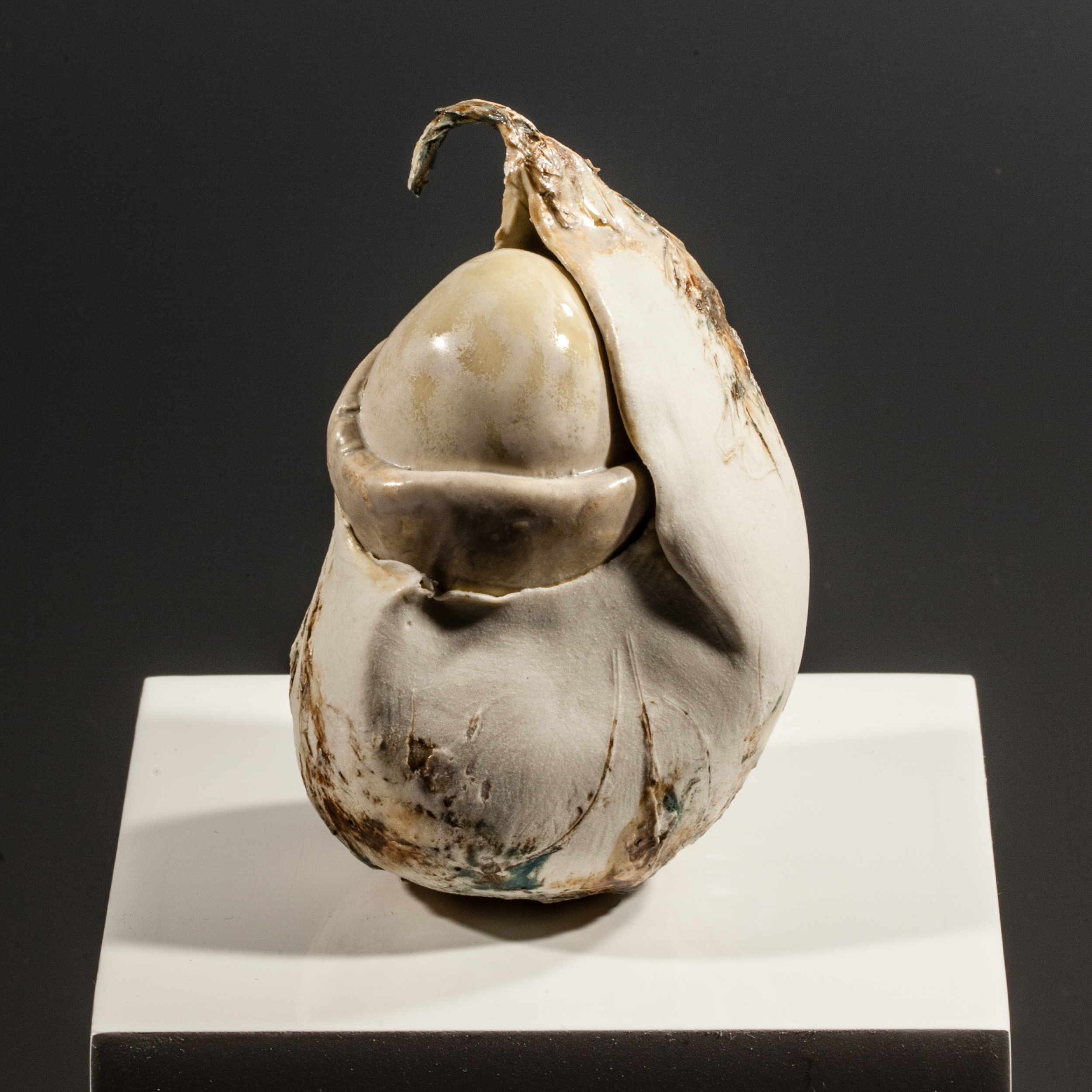 Helen-Shanks-porcelain-23 | Michael Shanks ~ archaeologist