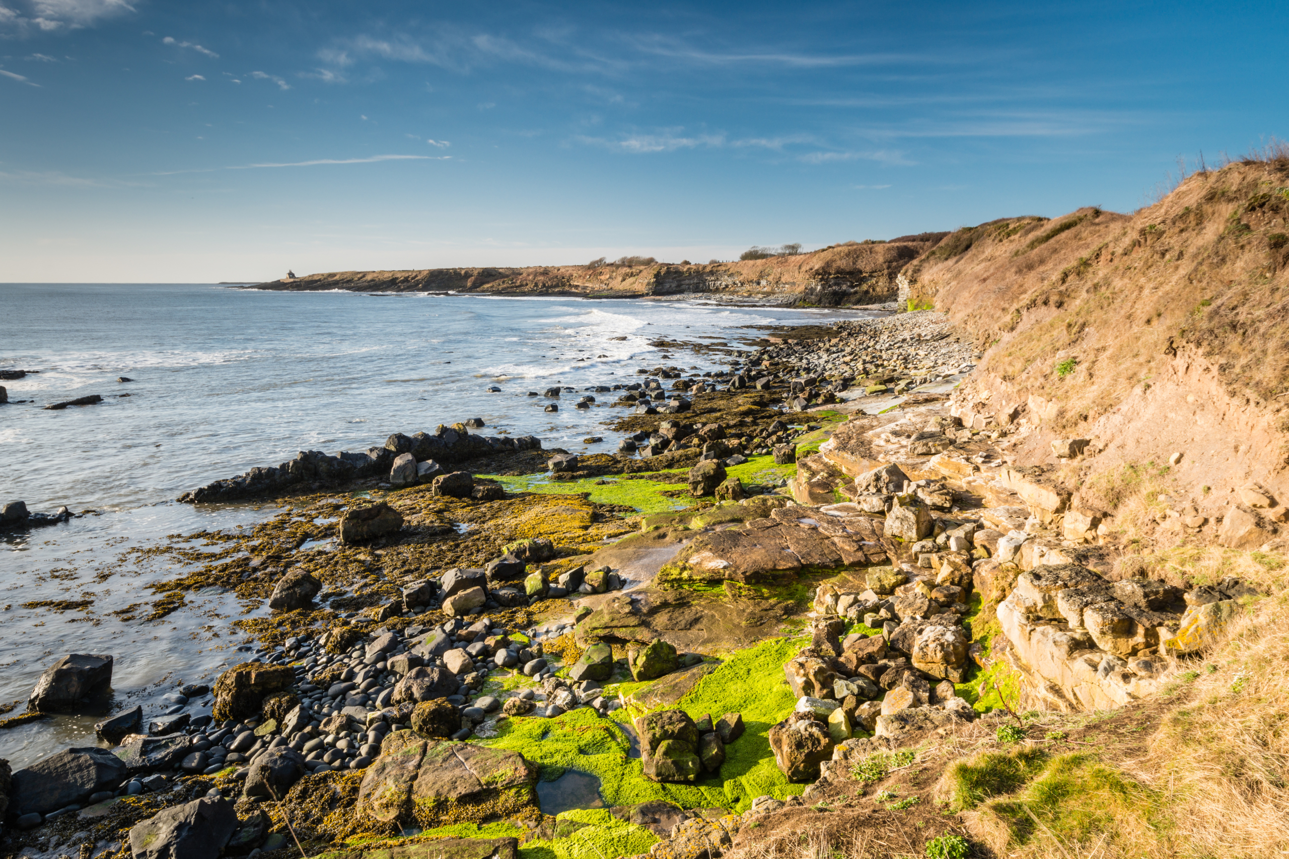 Michael Shanks ~ archaeologist