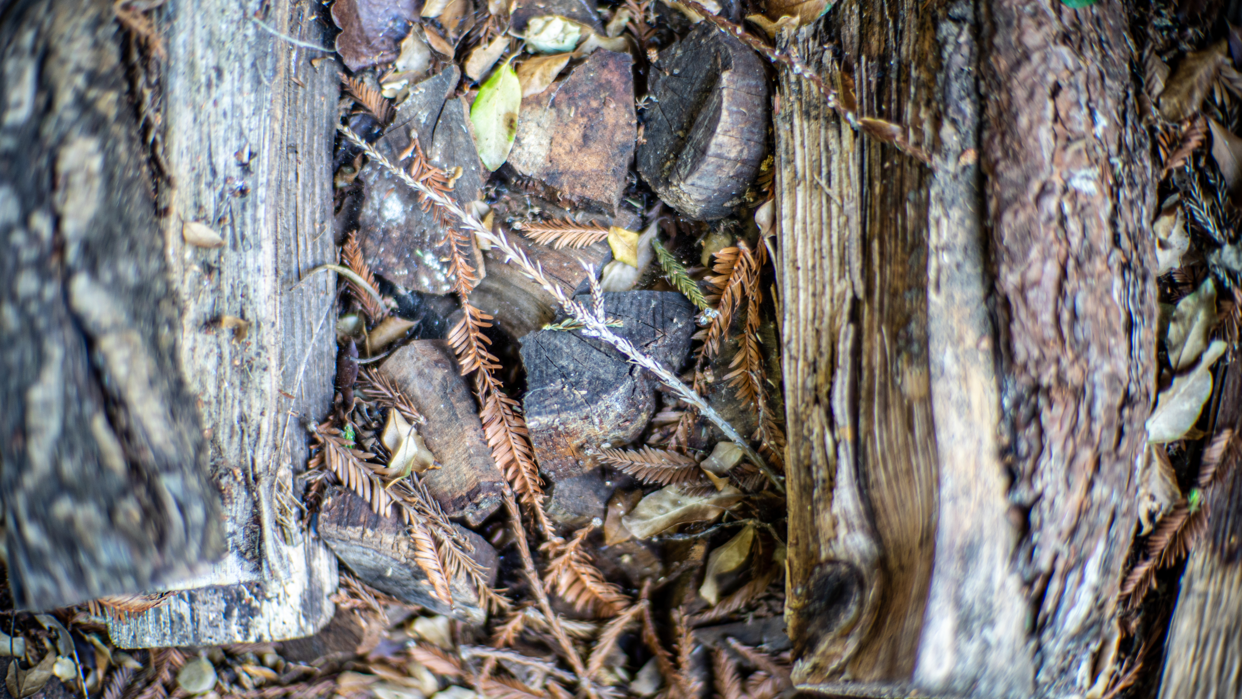 Michael Shanks ~ archaeologist