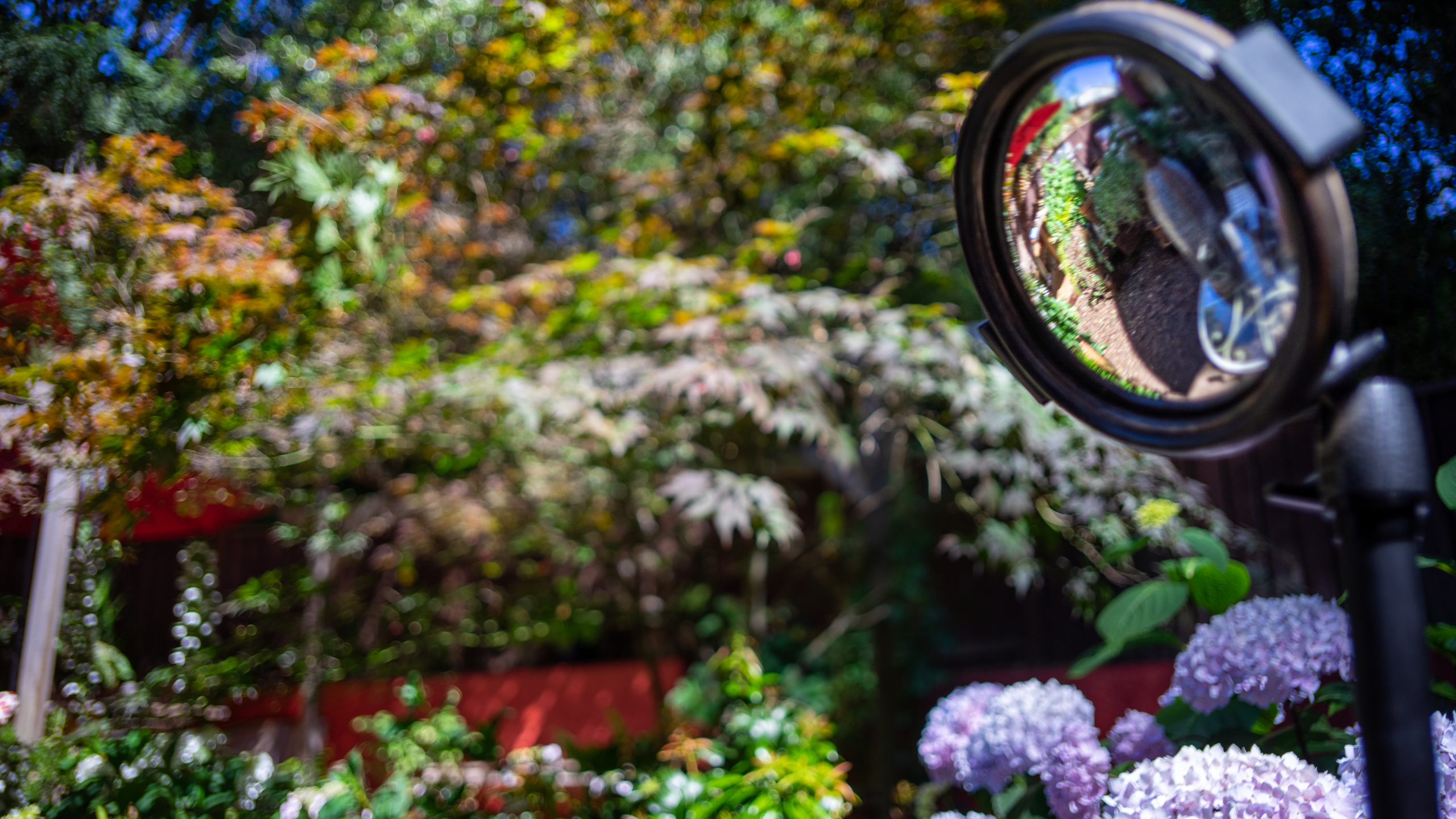 Michael Shanks ~ archaeologist