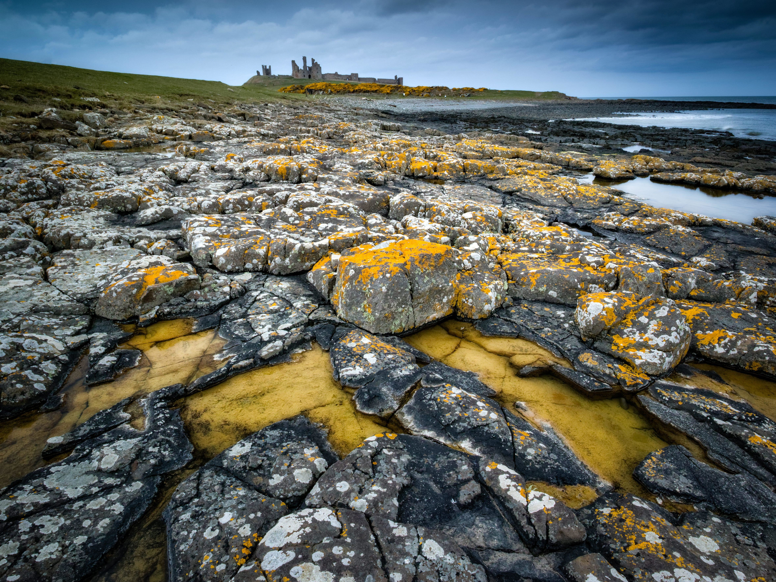 Michael Shanks ~ archaeologist