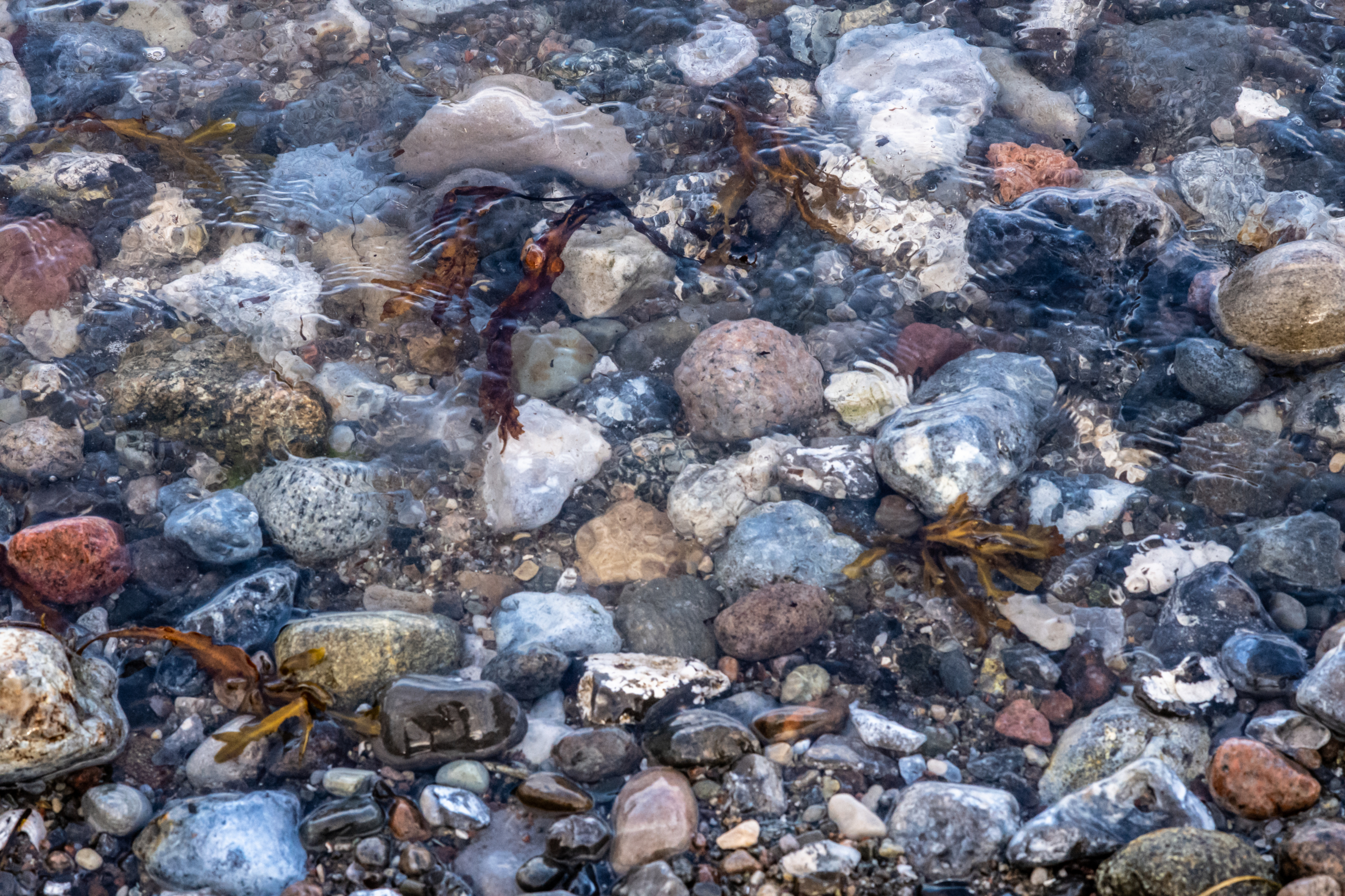 Nyborg | Michael Shanks ~ archaeologist