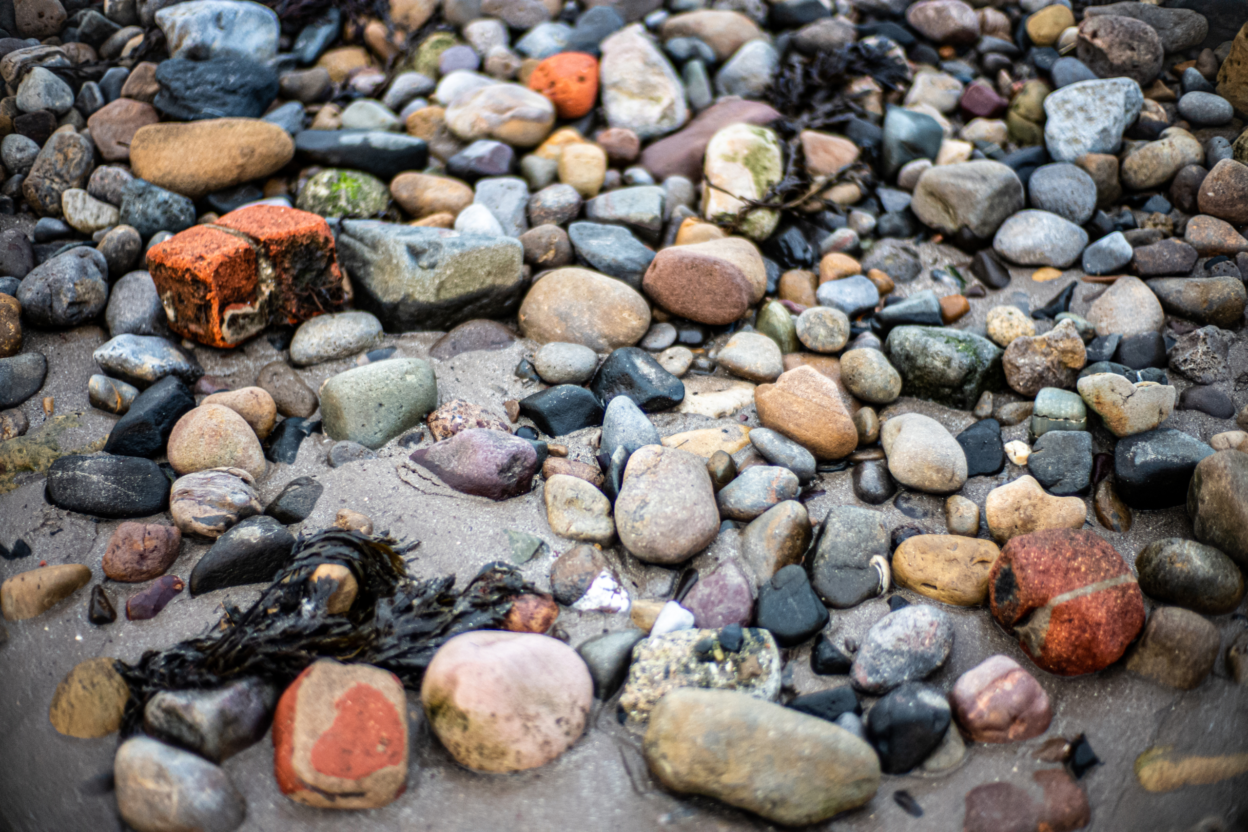 Michael Shanks ~ archaeologist