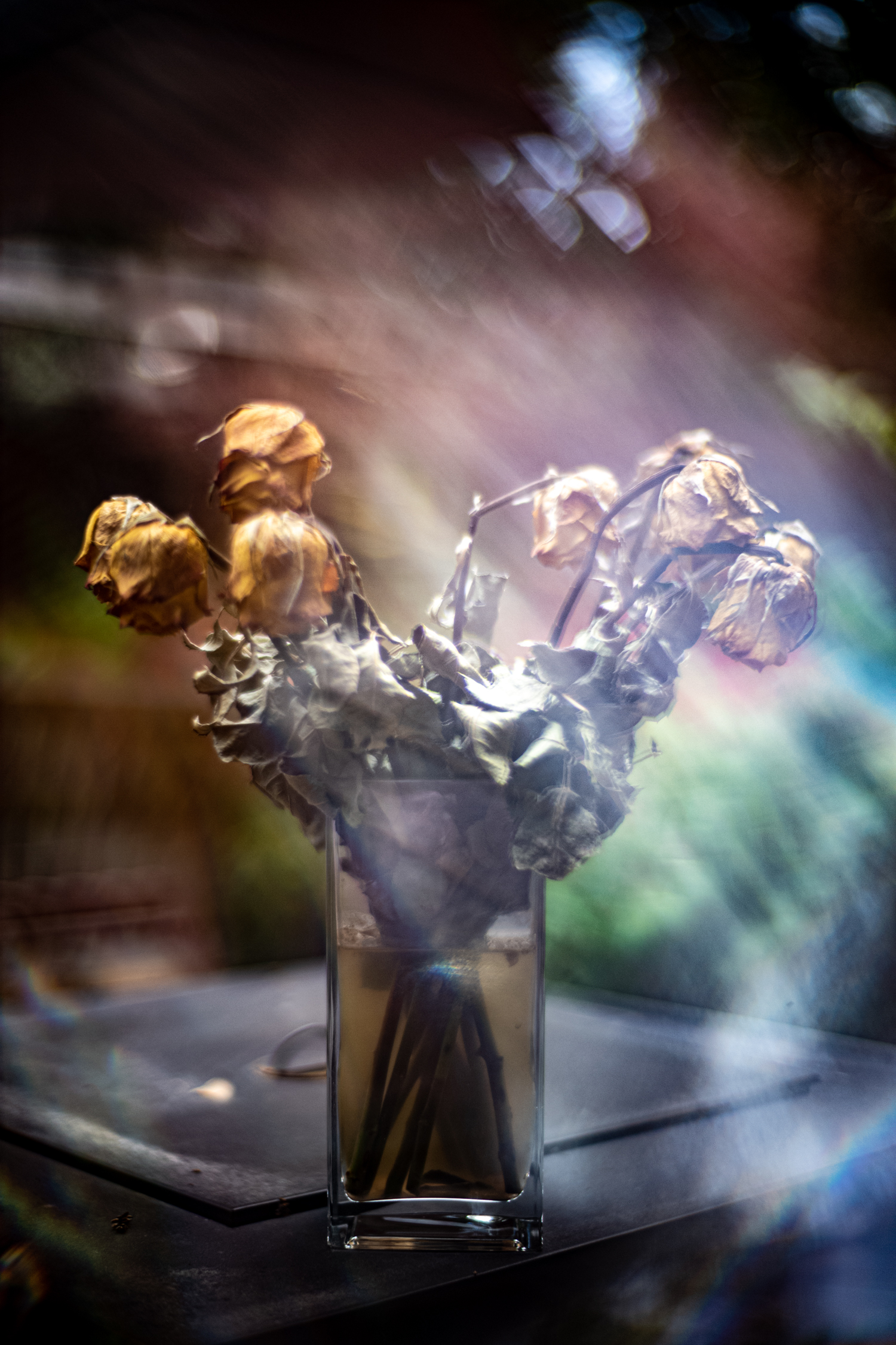 through a glass | Michael Shanks ~ archaeologist