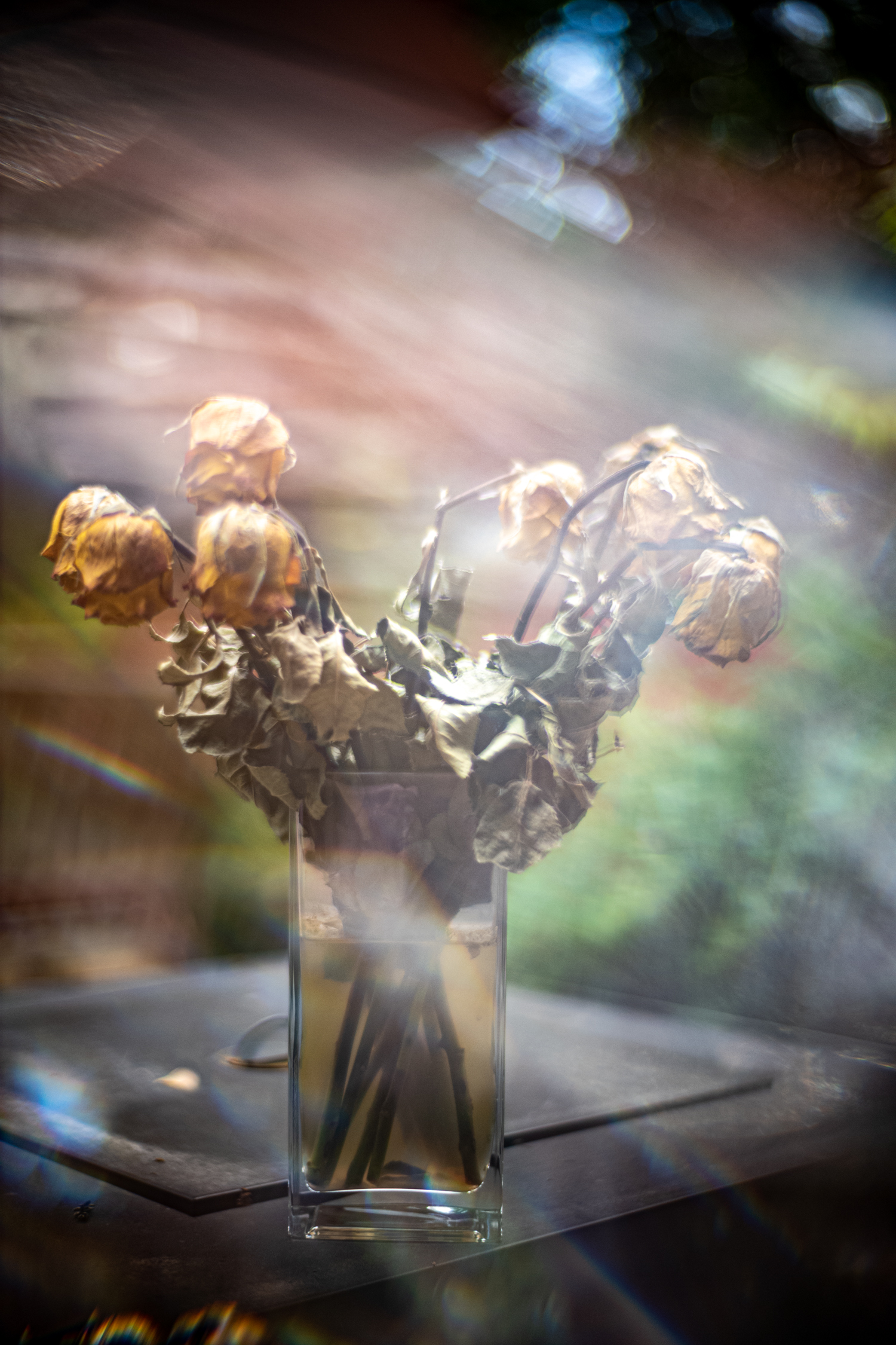 through a glass | Michael Shanks ~ archaeologist